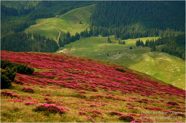 Hiking in Fagaras mountains